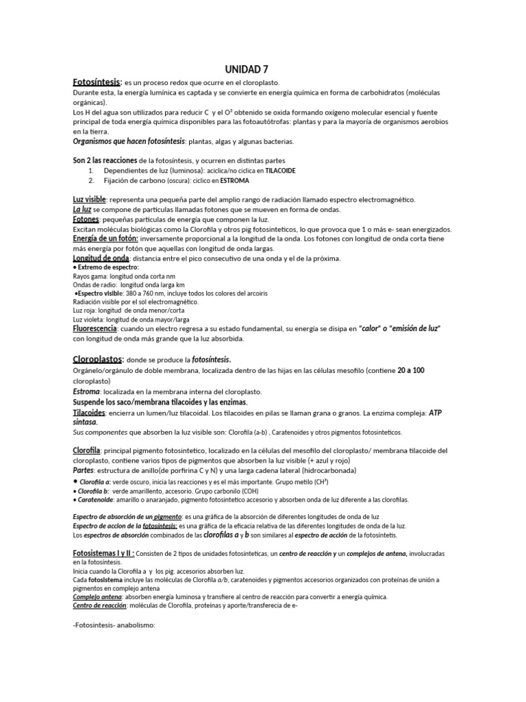 unidad 7- bio | PDF