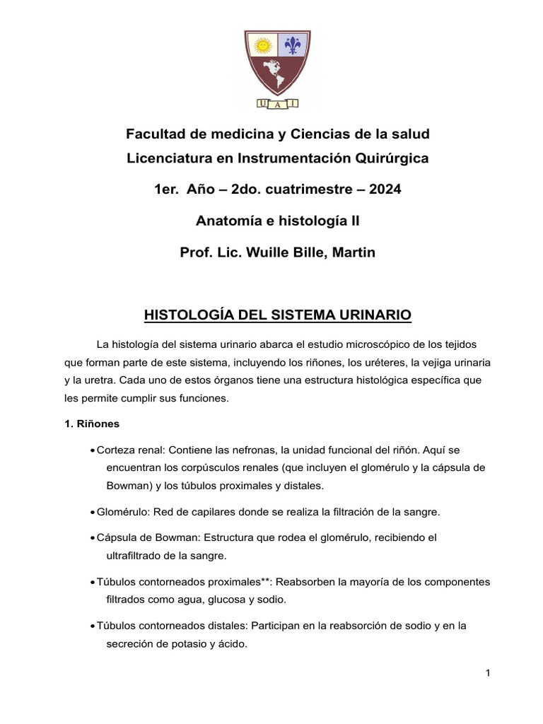 Histología Del Sistema Urinario | PDF