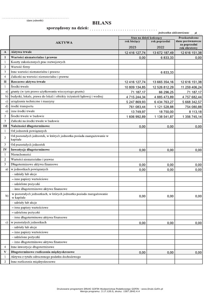 Firma Bilans Rzis | PDF