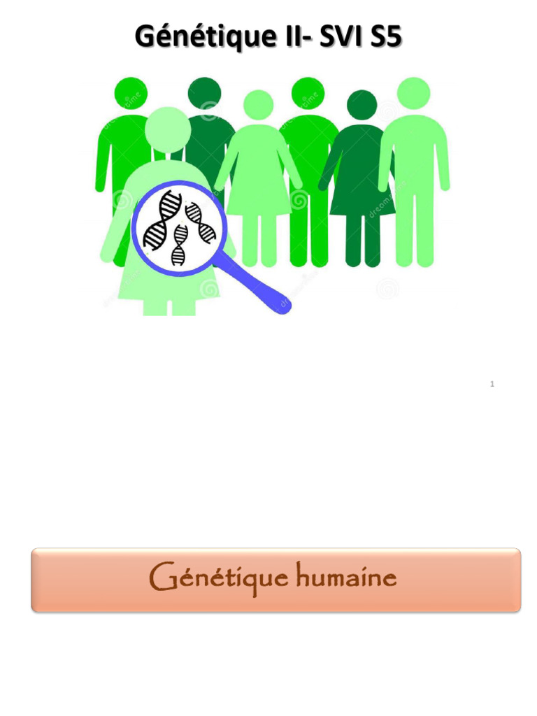 Génétique Humaine | PDF