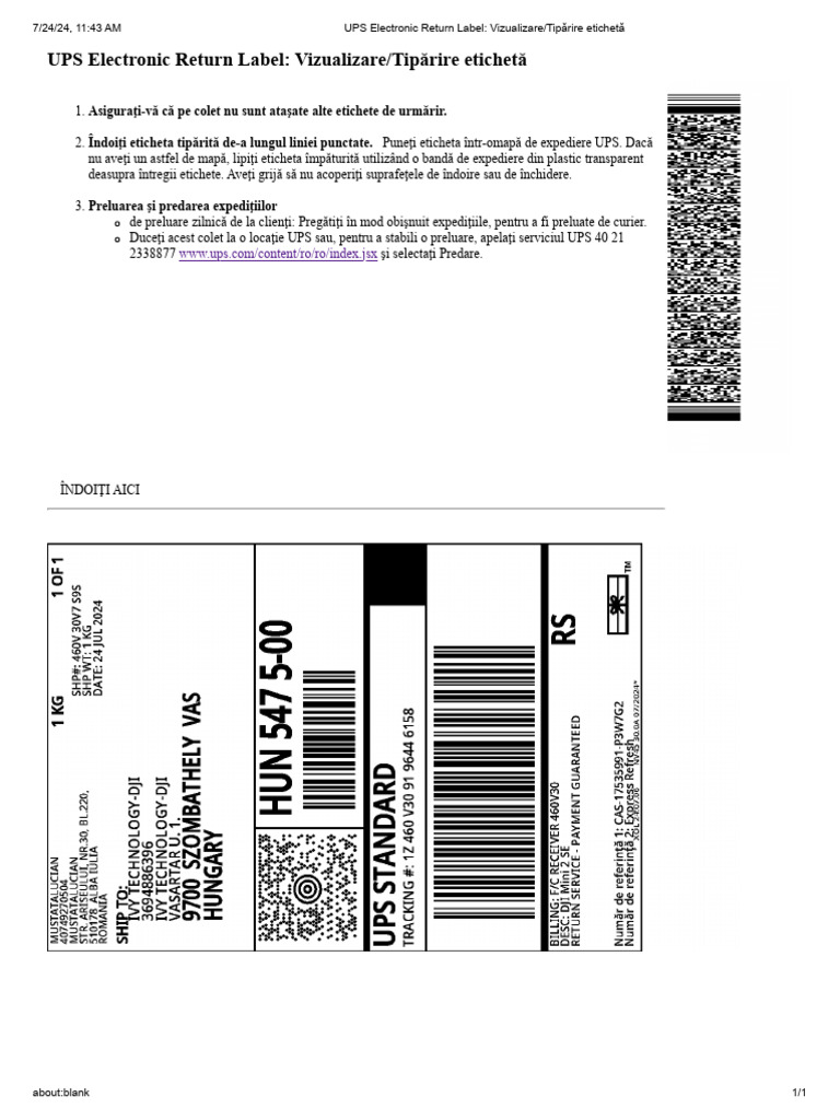 UPS Electronic Return Label - Vizualizare - Tipărire Etichetă | PDF
