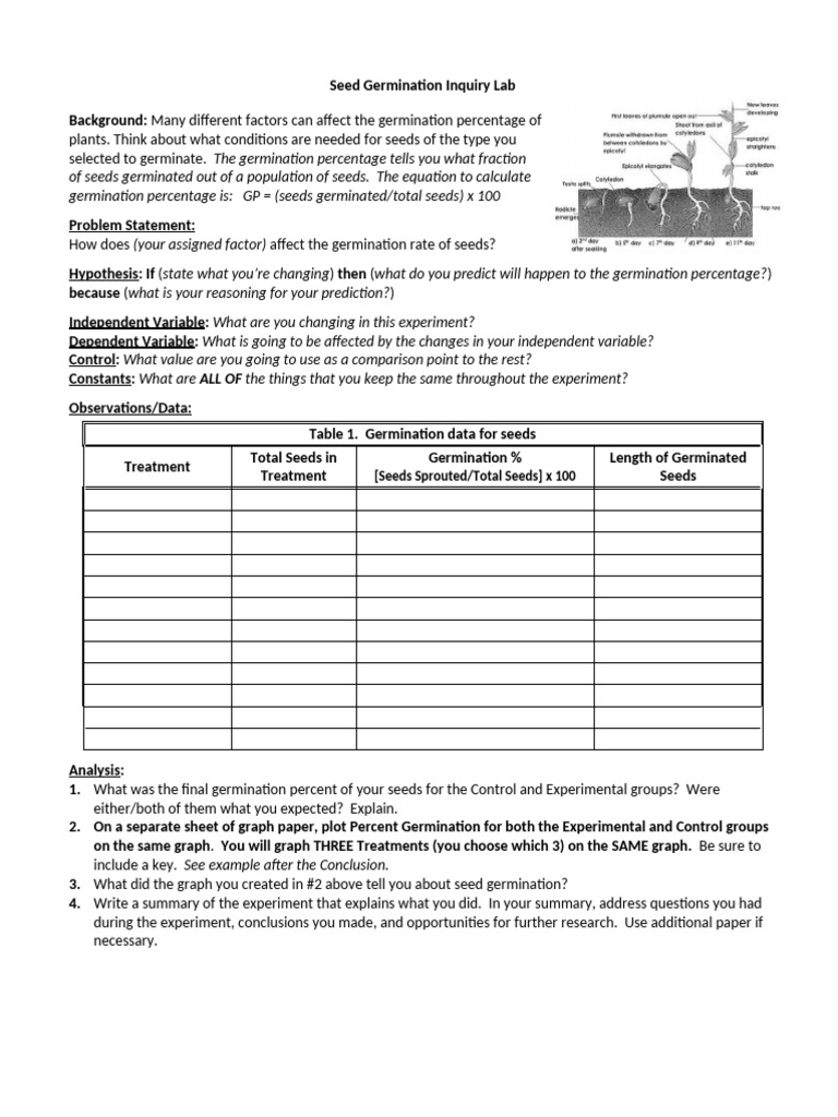 Lab_-_Seed_Germination_Revised_2024 | PDF