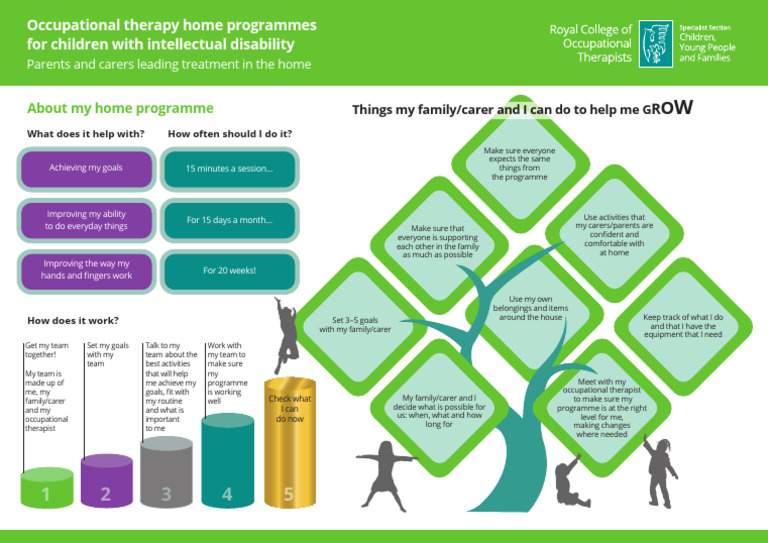 Occupational Therapy Home Programmes For Children With Intellectual ...