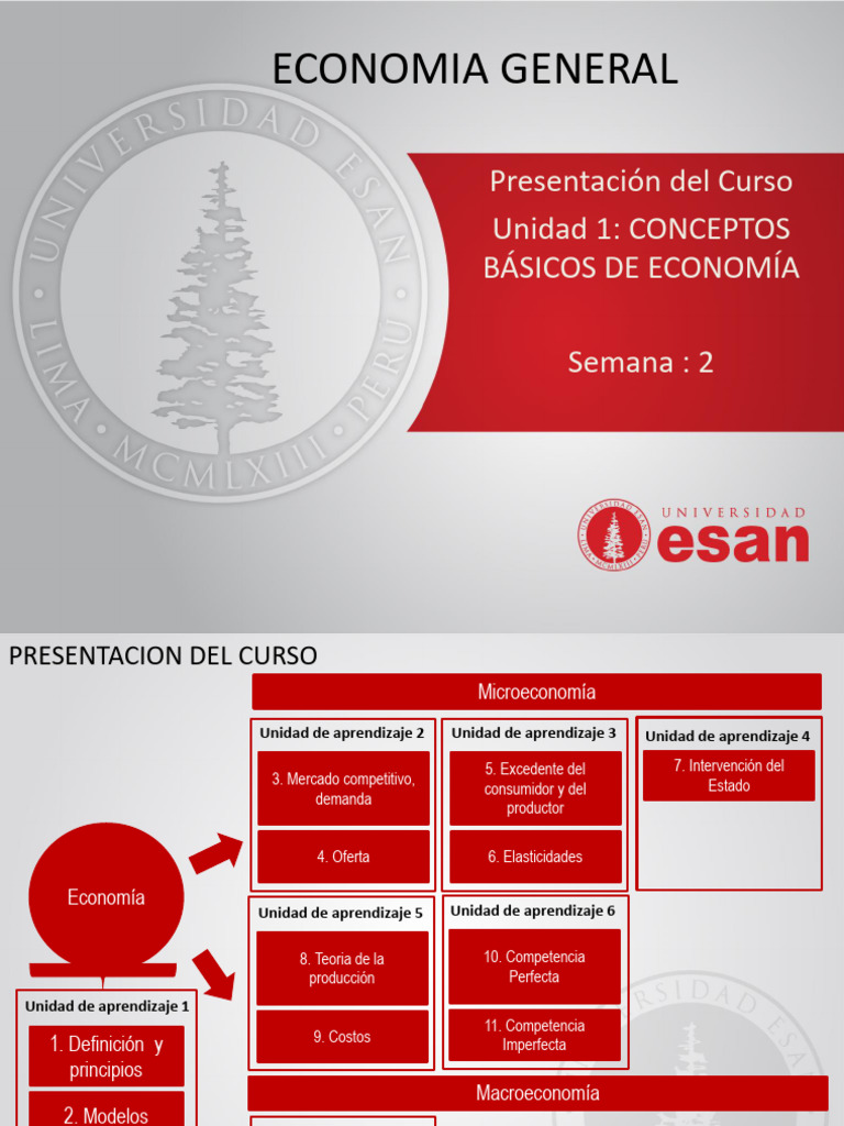 02.Semana 2 - Conceptos Basicos 2 | PDF