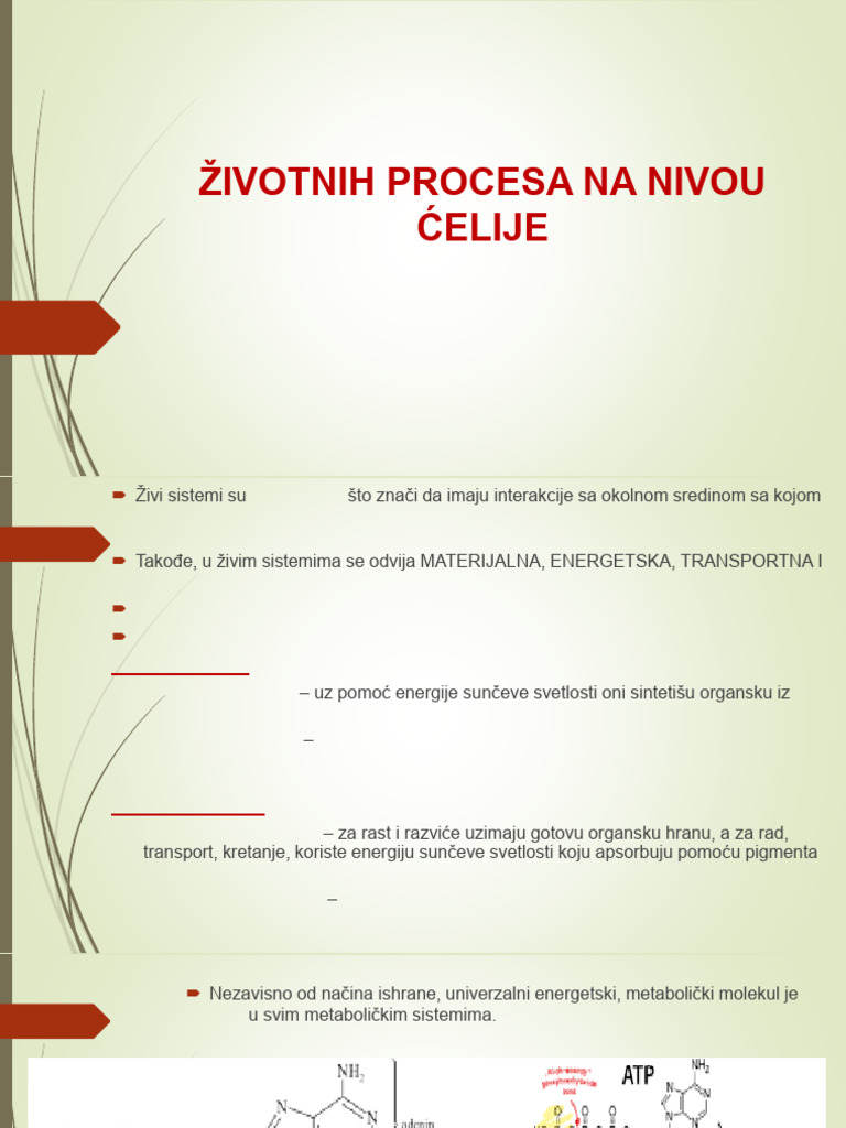 1 - Metabolizam I Regulacija Životnih Procesa Na Nivou Ćelije | PDF