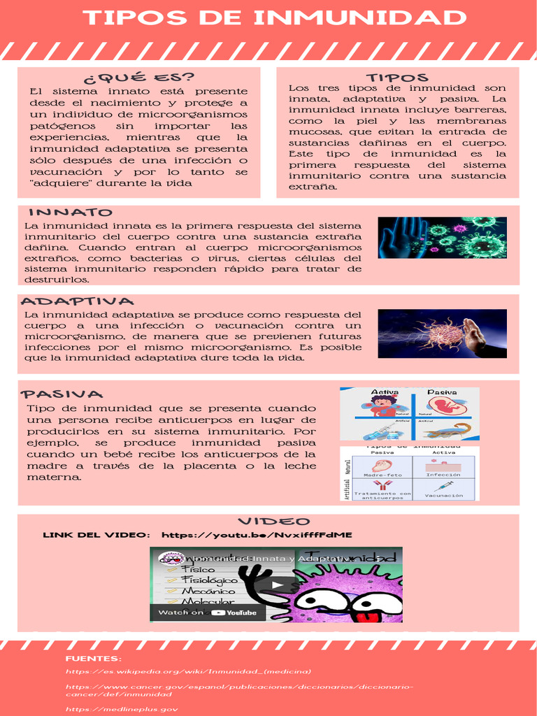 Tipos de Inmunidad Infografía | PDF