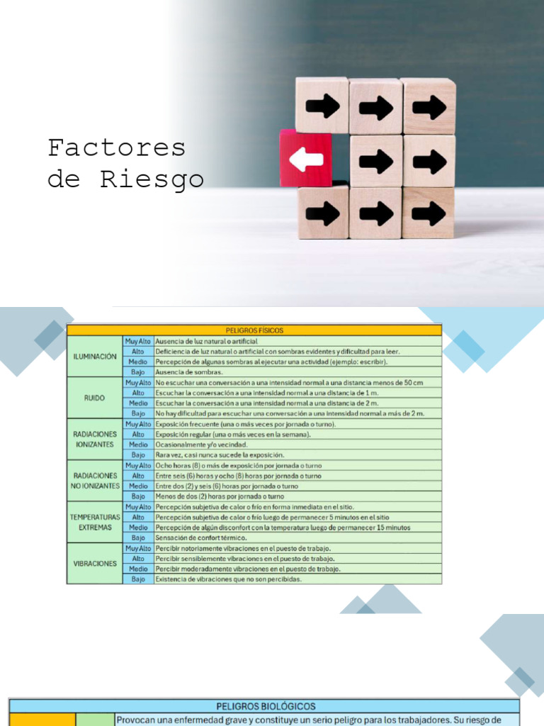 Factores de Riesgo | PDF