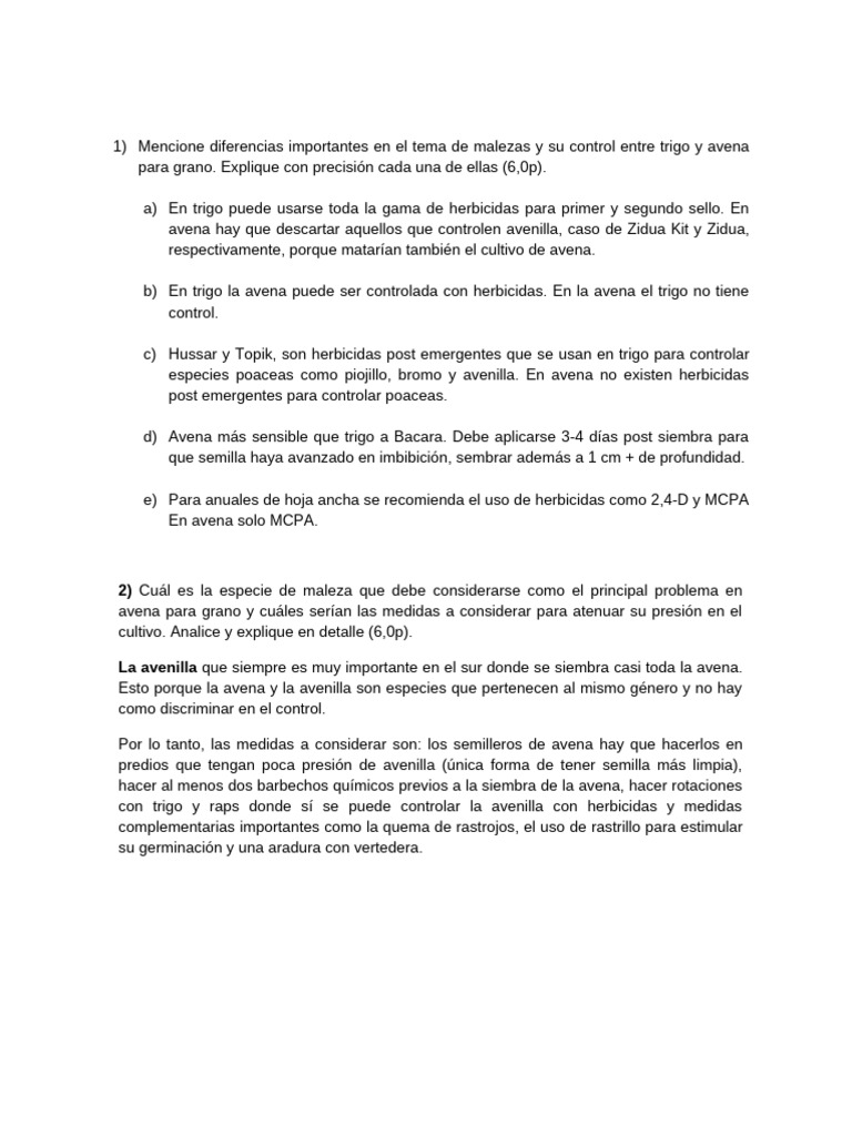 Pauta Segundo Control | PDF