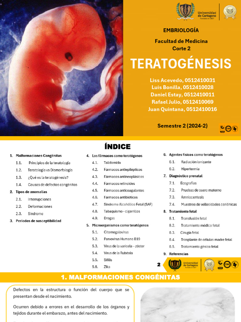 Teratogénesis Seminario 2024-2 | PDF