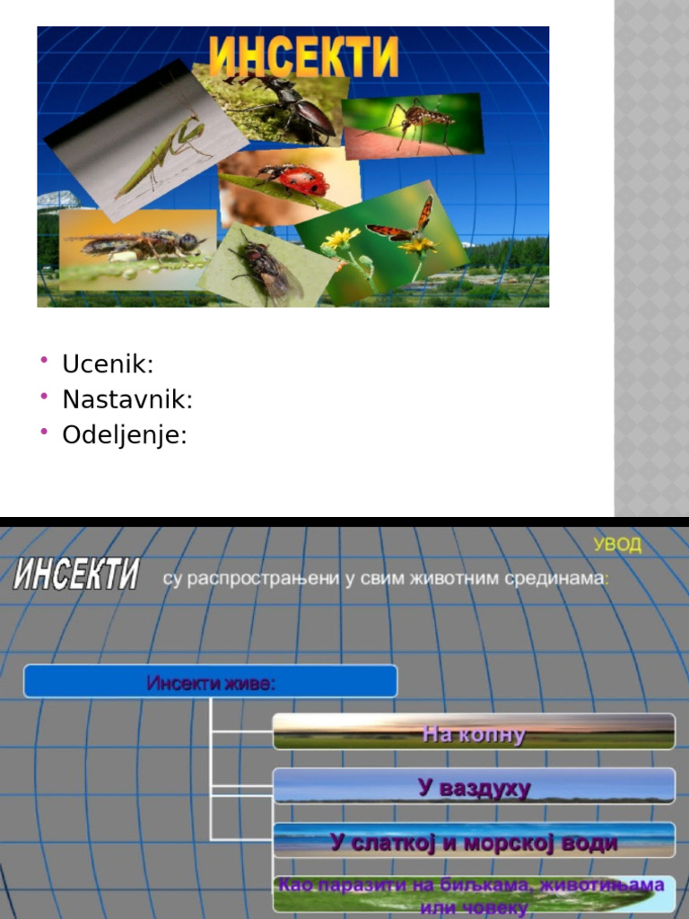 INSEKTI | PDF