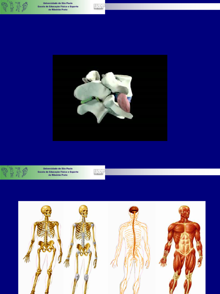 Aula Biomec Articulacoes | PDF