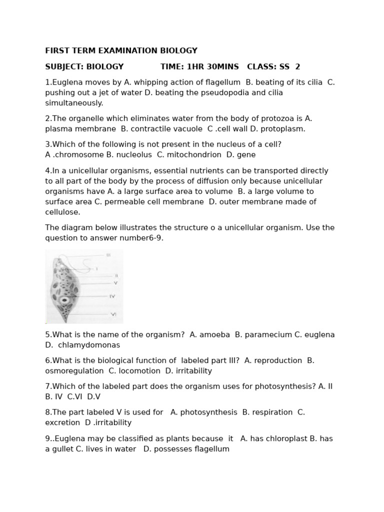 FIRST TERM EXAMINATION BIOLOGY | PDF