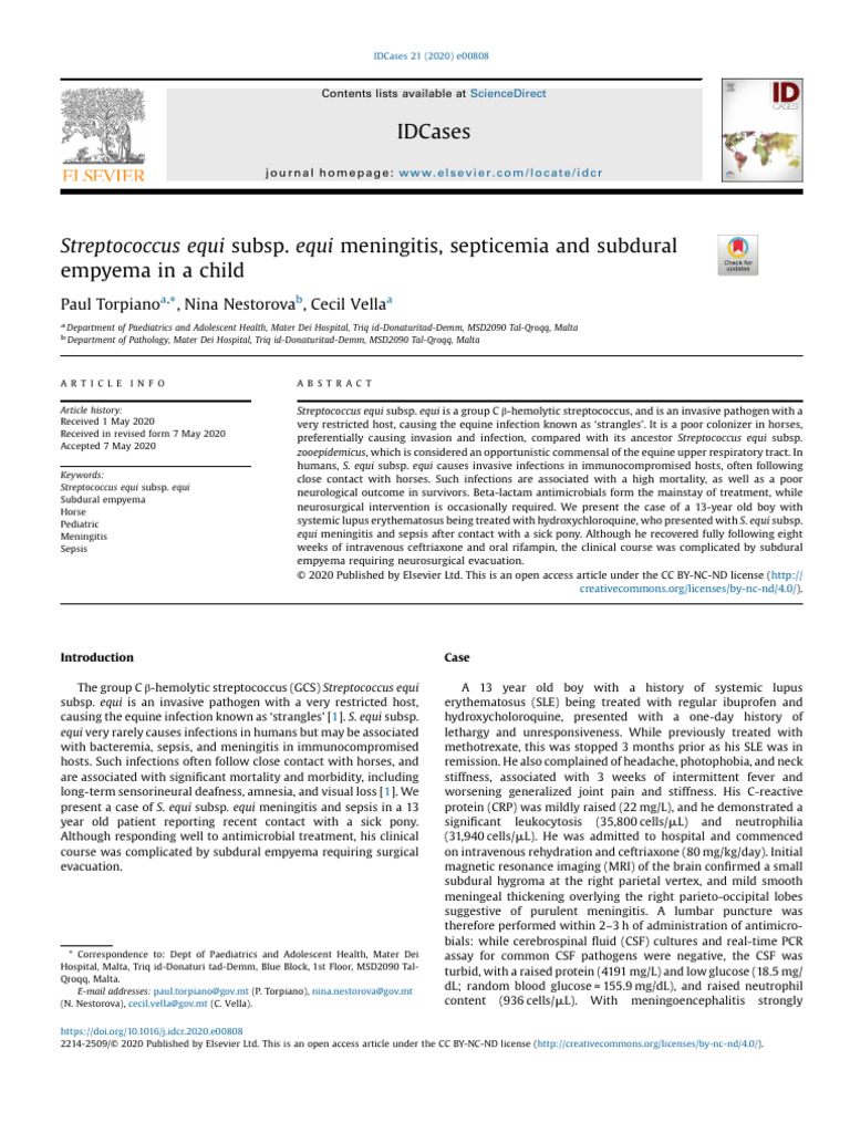 Streptococcus Equi Subsp Equi Meningitis Septicemia and Subdura - 2020 ...