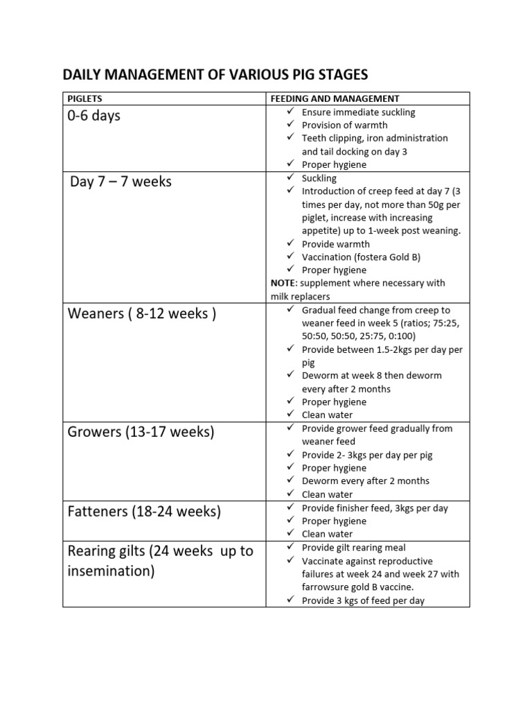 General Management of Various Pig Stages | PDF