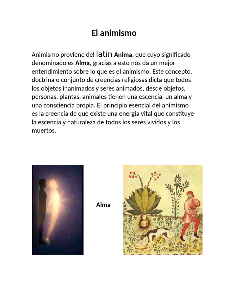 Animismo | PDF