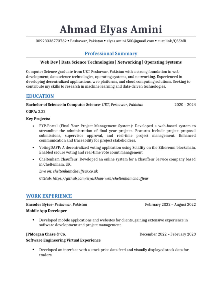 Ahmad Elyas Amini: Professional Summary | PDF