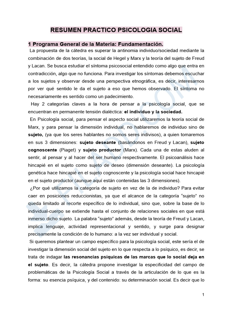 Mi Resumen Psico Social | PDF