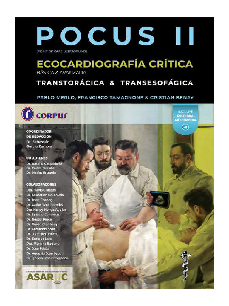 LIBRO-POCUS-II-IMPRENTA-CORPUS-comprimido_compressed | PDF