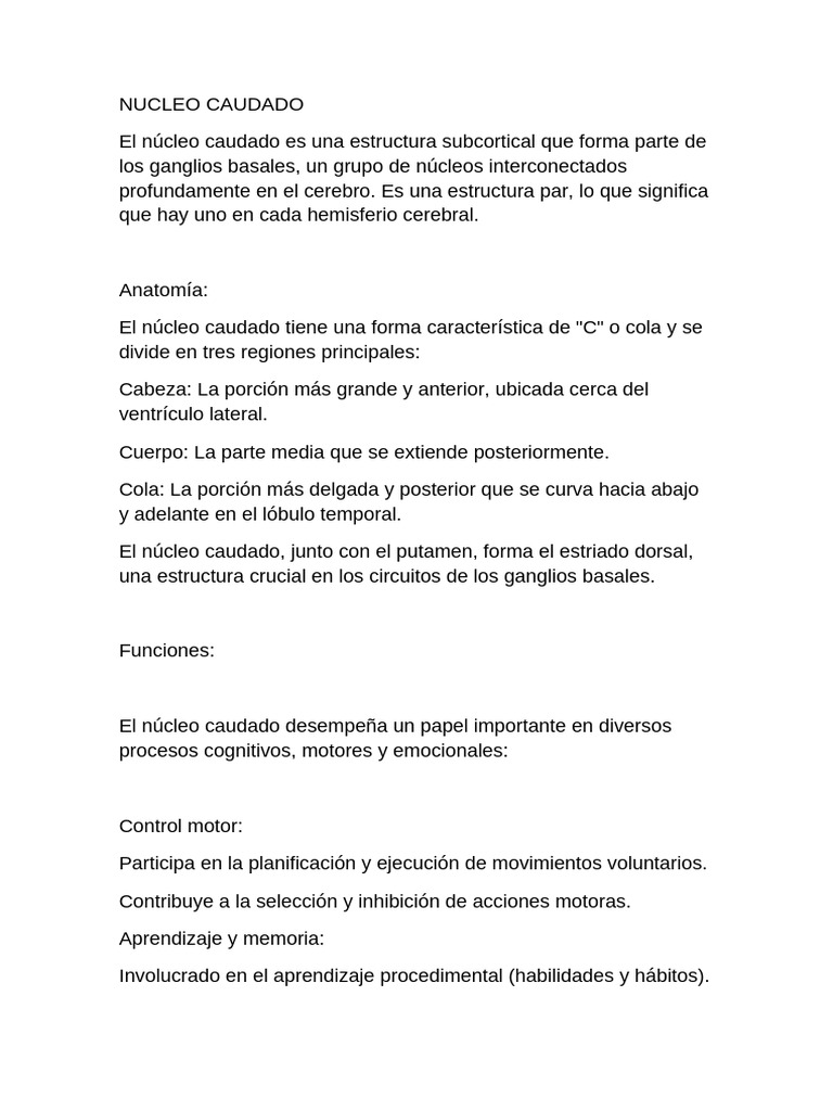 Nucleo Caudado | PDF