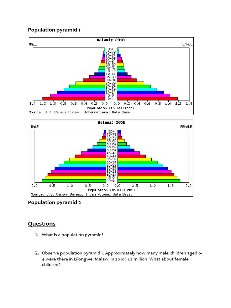 Population pyramids activity | PDF