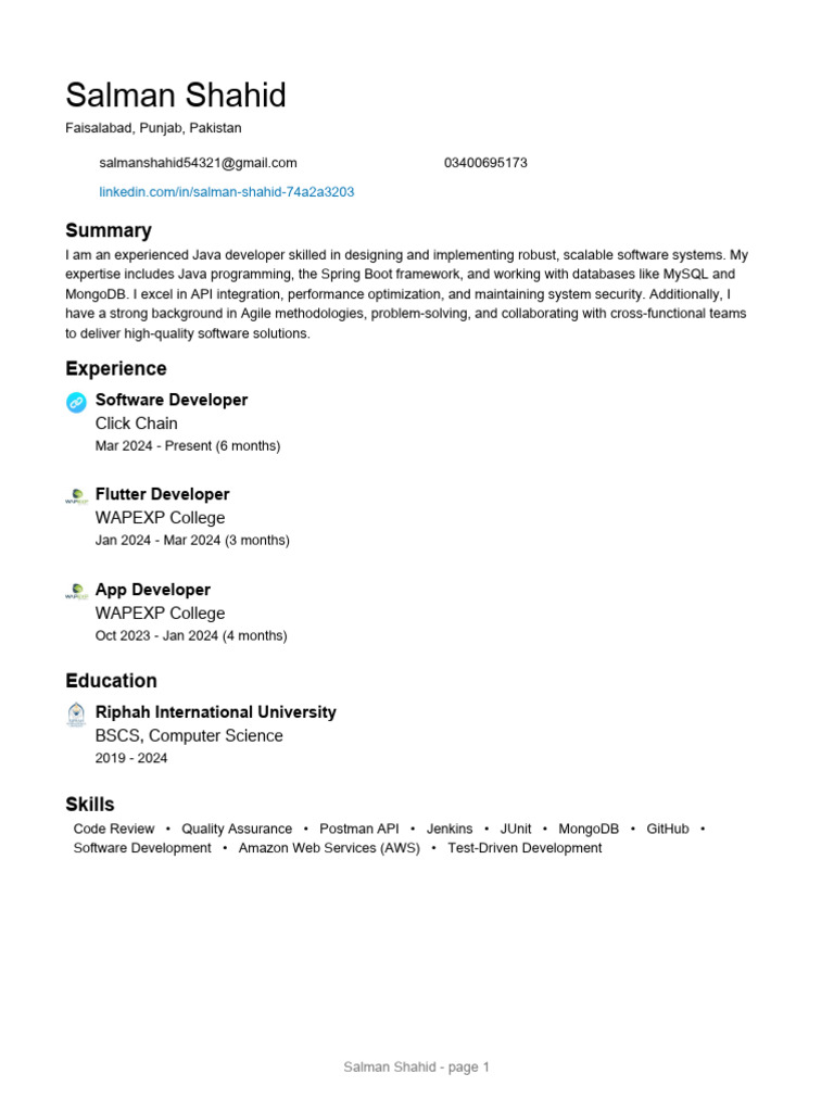 Resume Salman Shahid | PDF