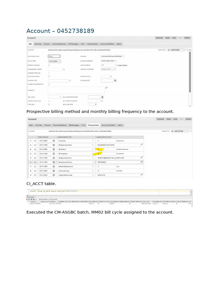Demo Document - Billing | PDF | Finance & Money Management | Computers