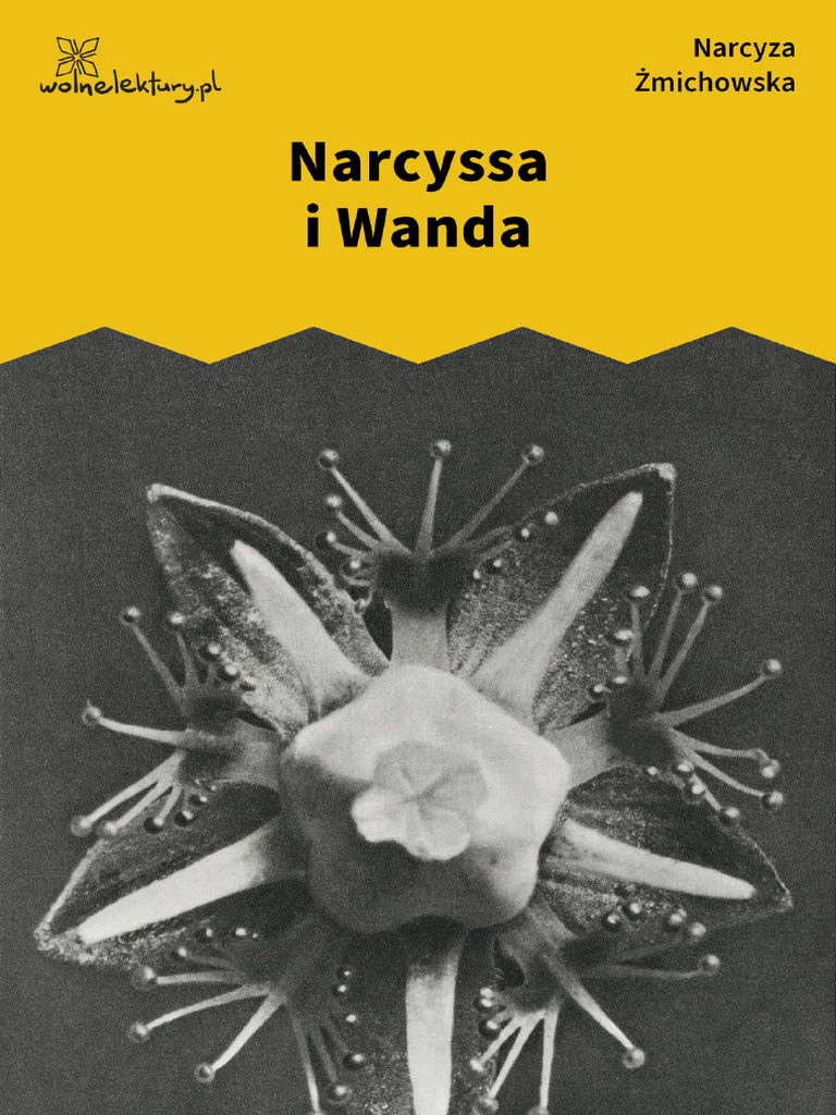 narcyssa-i-wanda | PDF