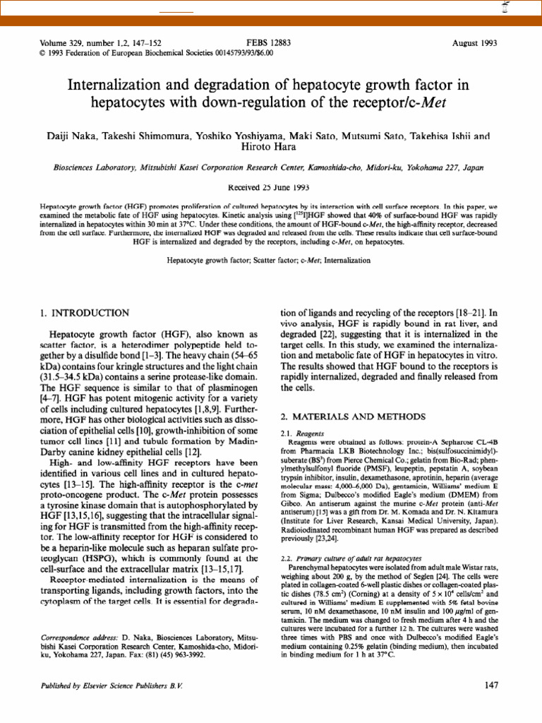 Internalization and Degradation of Hepatocyte Growth Factor in ...