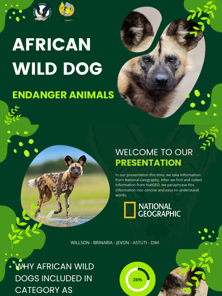 African Wild Dog | PDF