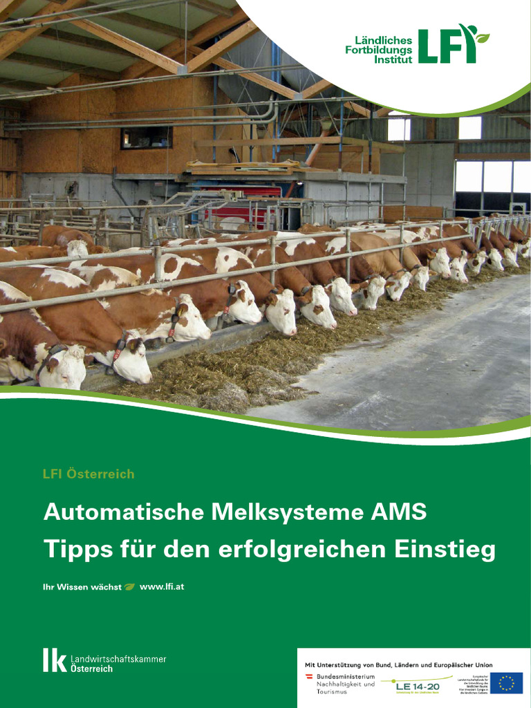 AMS Tipps Fuer Den Erfolgreichen Einstieg LFI | PDF