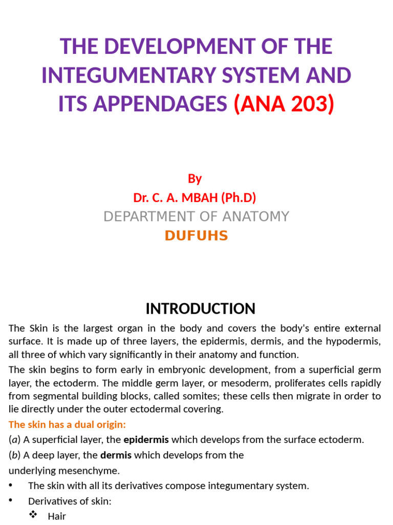 The Development of The Integumentary System and Its | PDF | Skin ...