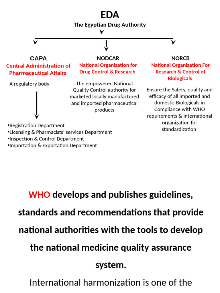 Stability Guidance | PDF