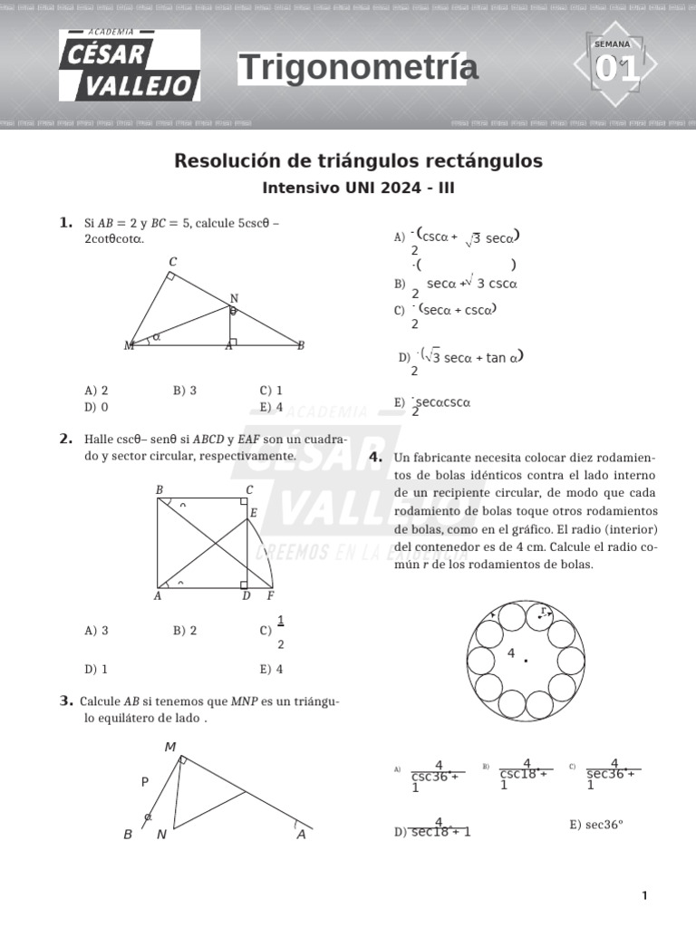 TR INU Dir Sem01 | PDF