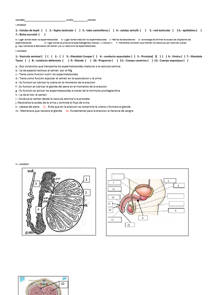Taller Rep Masculina | PDF | Science & Mathematics | Travel