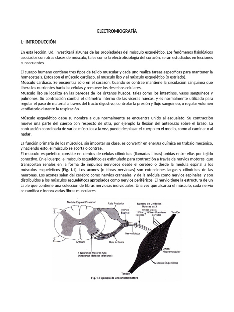 Laboratorio Electromiografia | PDF