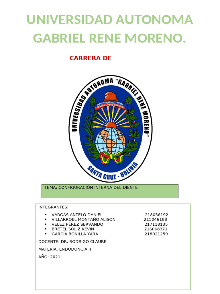 Configuración Interna Del Diente Grupo 7 | PDF | Diente | Anatomia dental