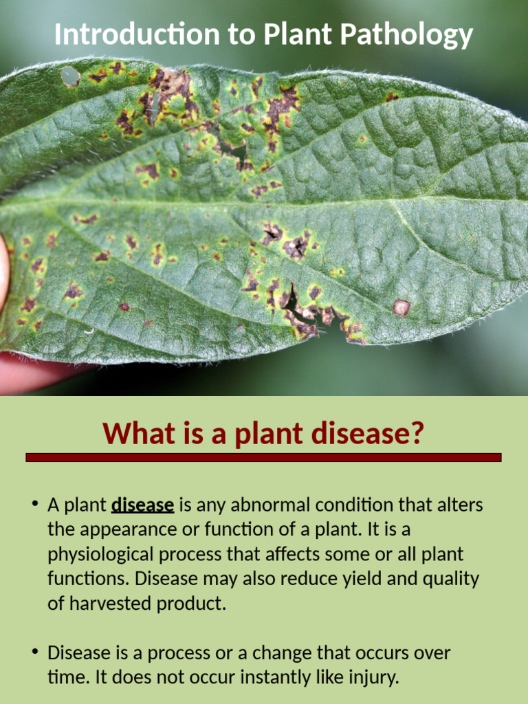 05 Introduction To Plant Pathology | PDF | Pathogen | Infection