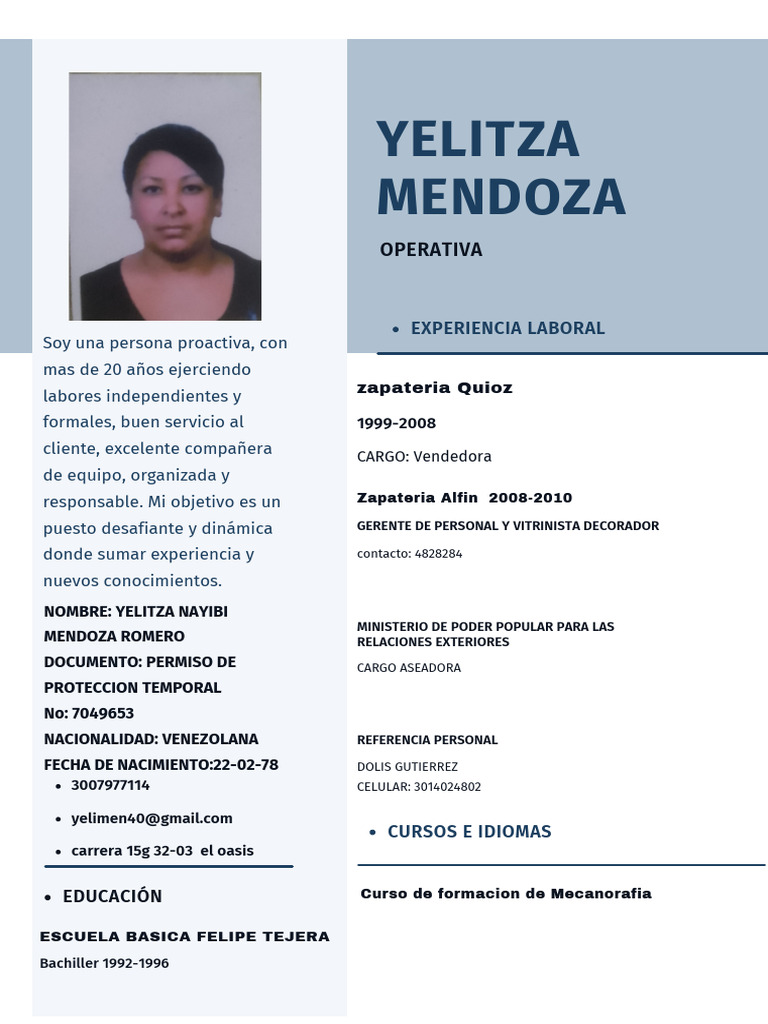CV Yelitza Mendoza | PDF