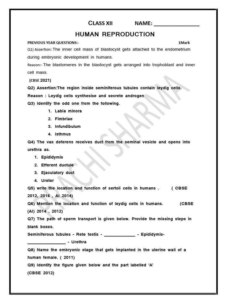 (Ch-3) HUMAN REPRODUCTION PYQs^ | PDF