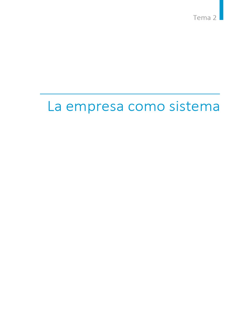 Tema2 La Empresa Como Sistema Pdf