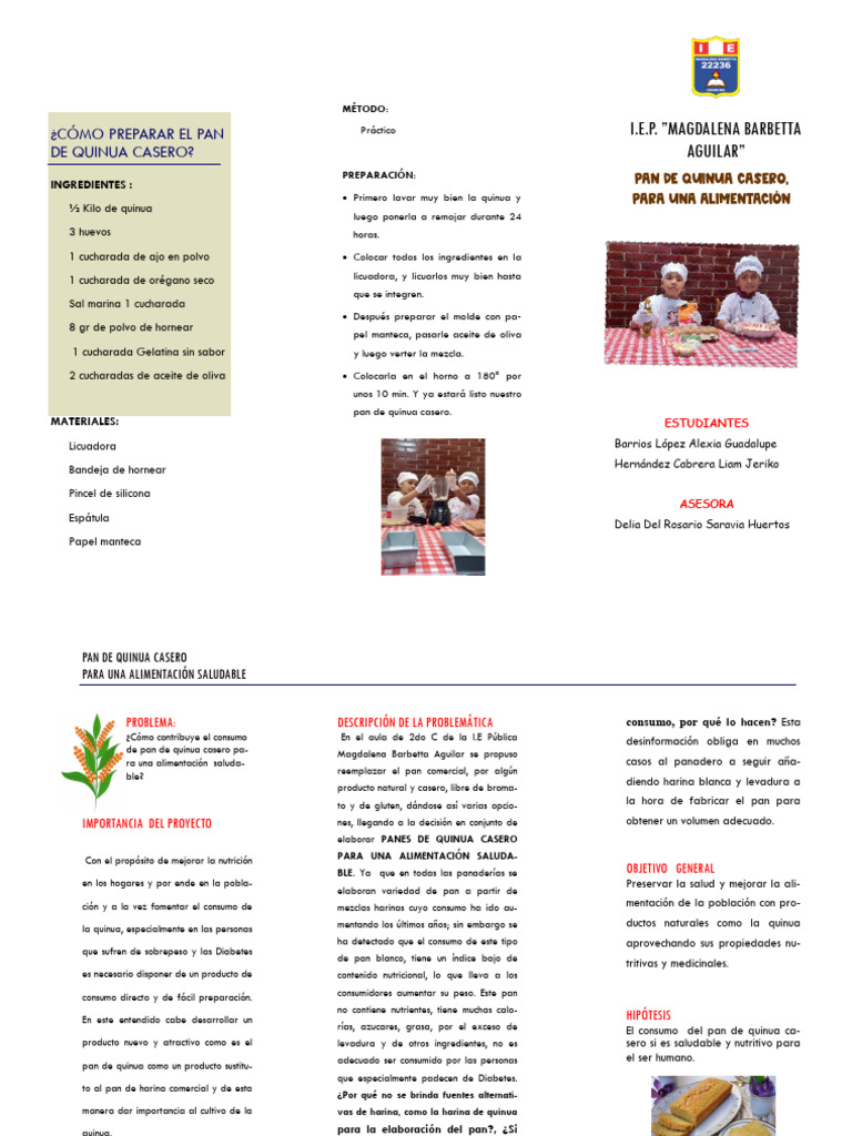 Triptico Fencyt | PDF