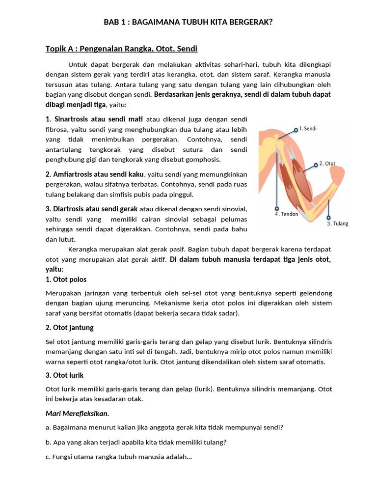 Bagaimana Tubuh Bergerak | PDF