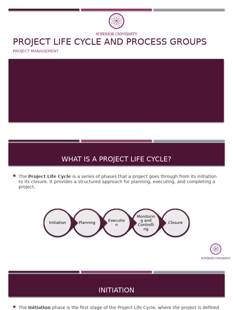 Week 2 - Project Life Cycle and Process Groups-1 | PDF