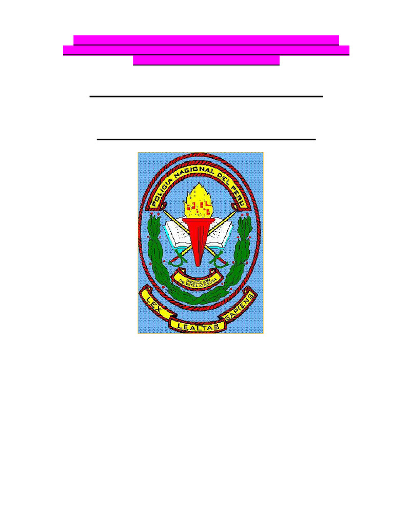 Manual Inteligencia Dirin-Pnp | PDF