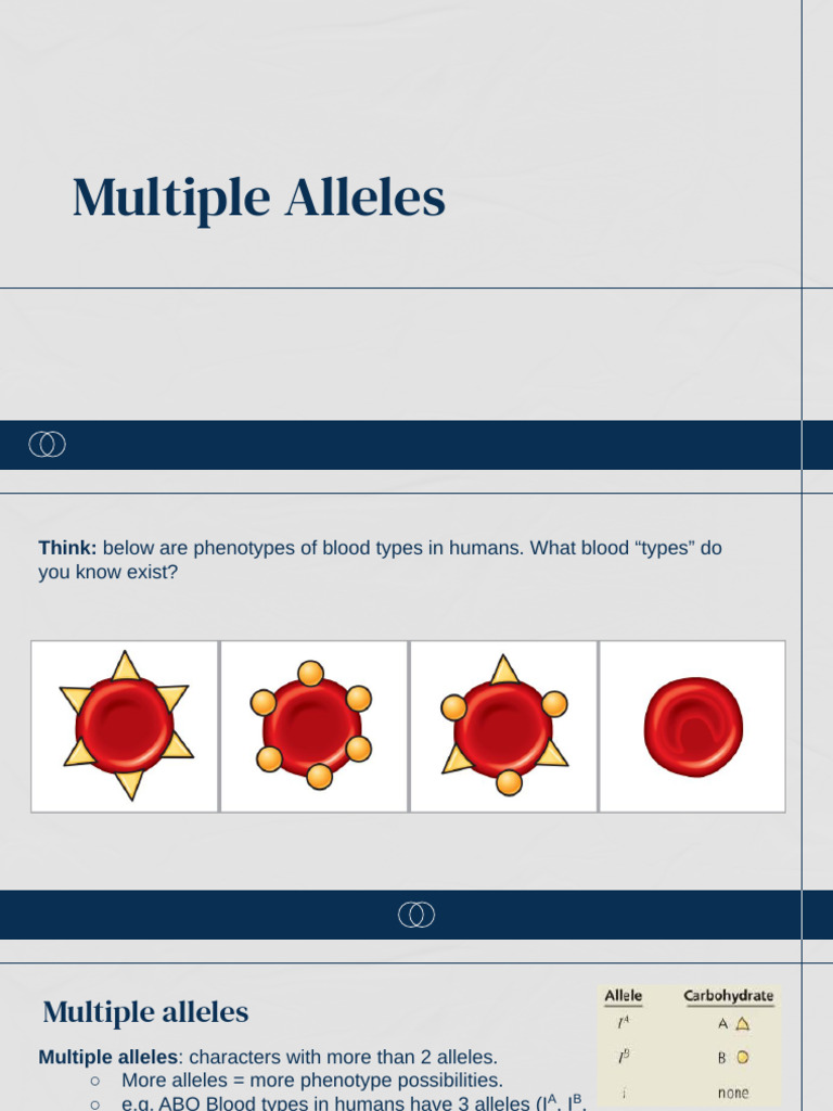 1.9. Multiple Alleles | PDF