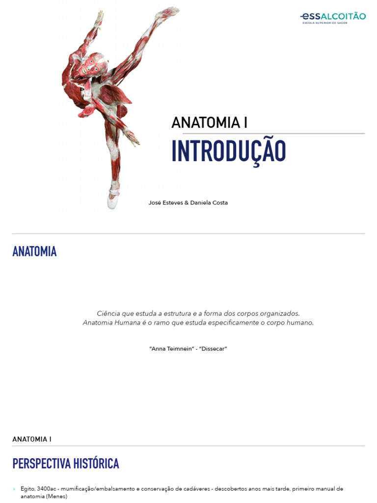Anatomia Aula 1 Intro E Ms1 Pdf