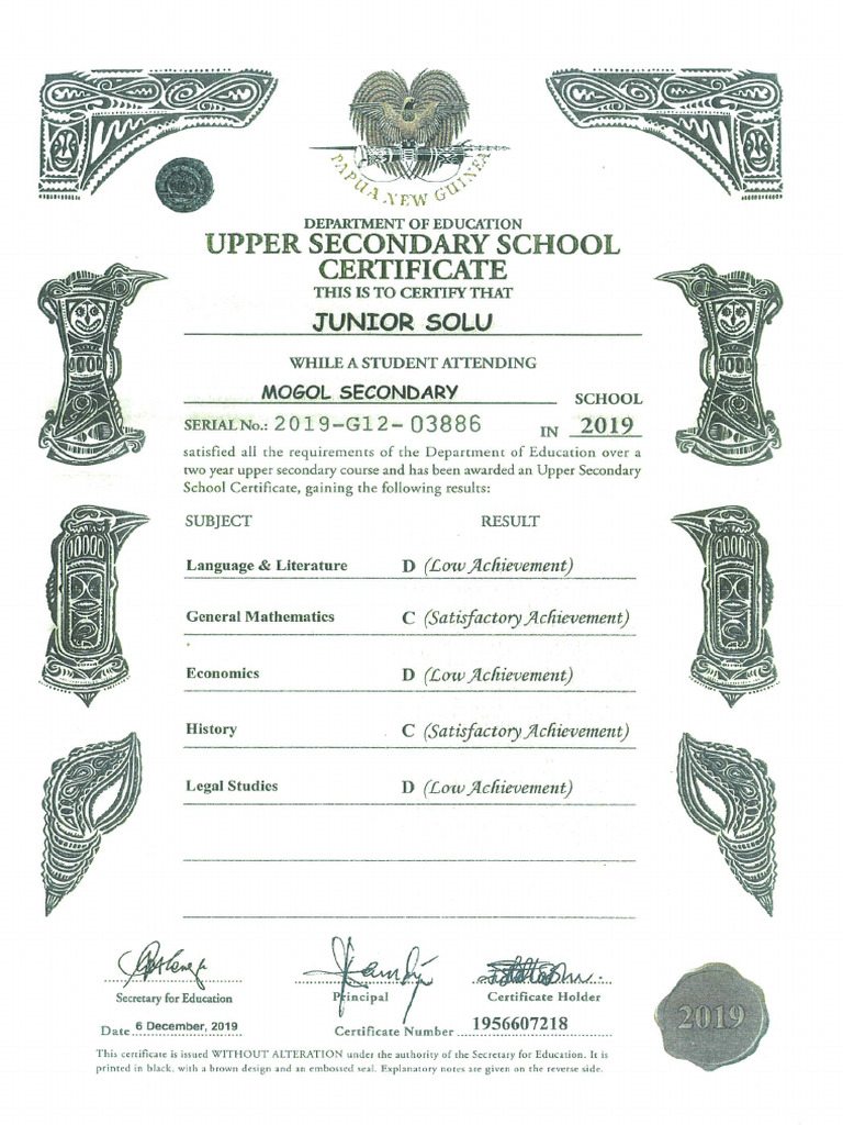 Junior Solu Certificate | PDF