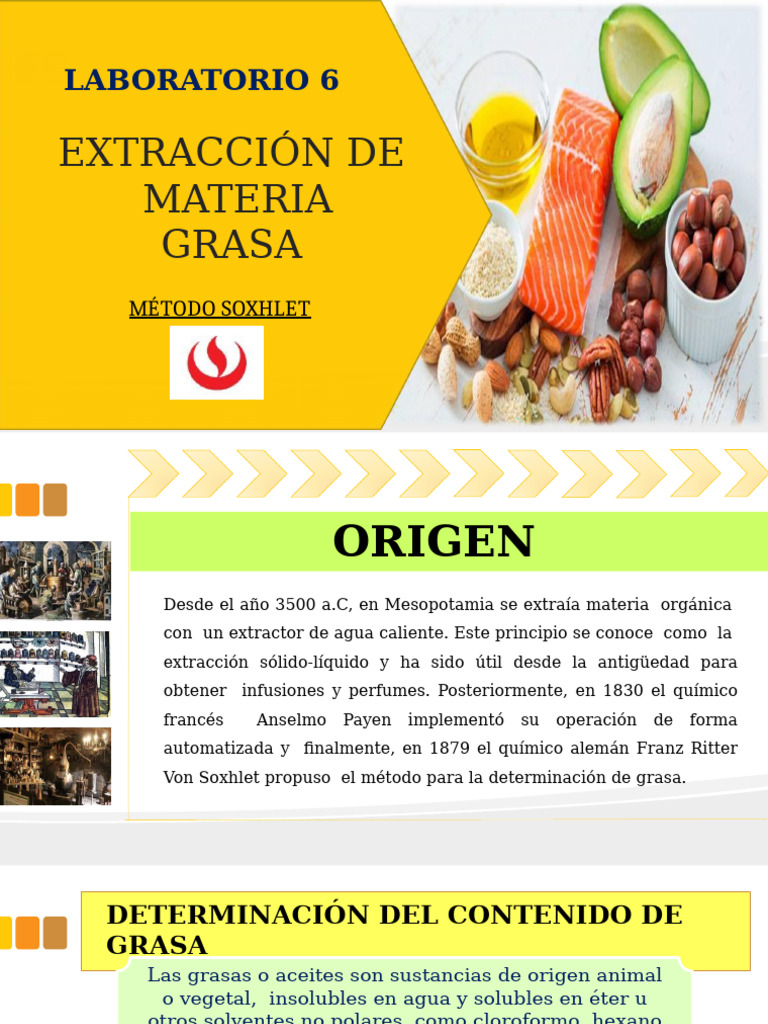 U1 - Sesión6 - Lab6 Extracción de Grasa | PDF