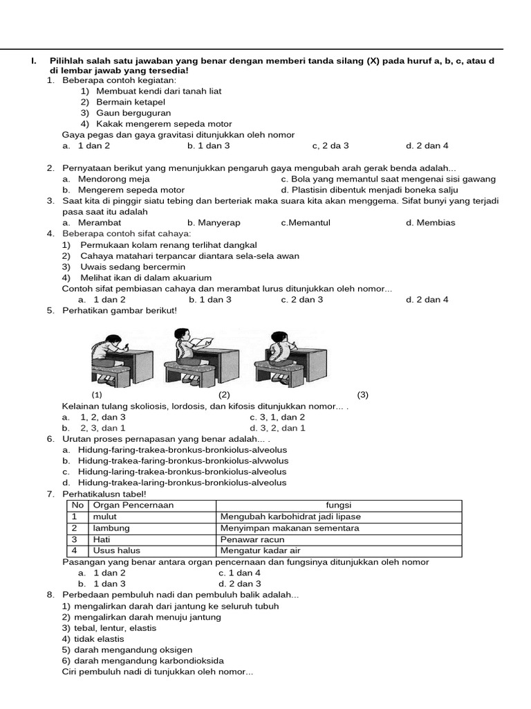 TRY OUT IPA 2024 Fix | PDF