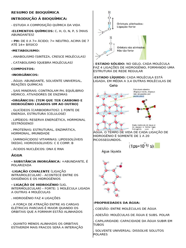 Resumo de Bioquímica | PDF